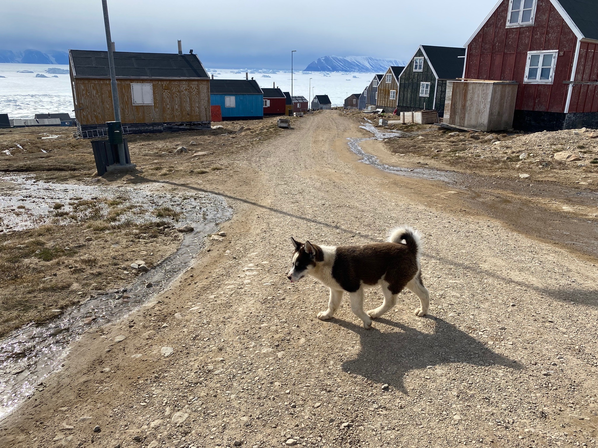 The New Cold War in the Arctic